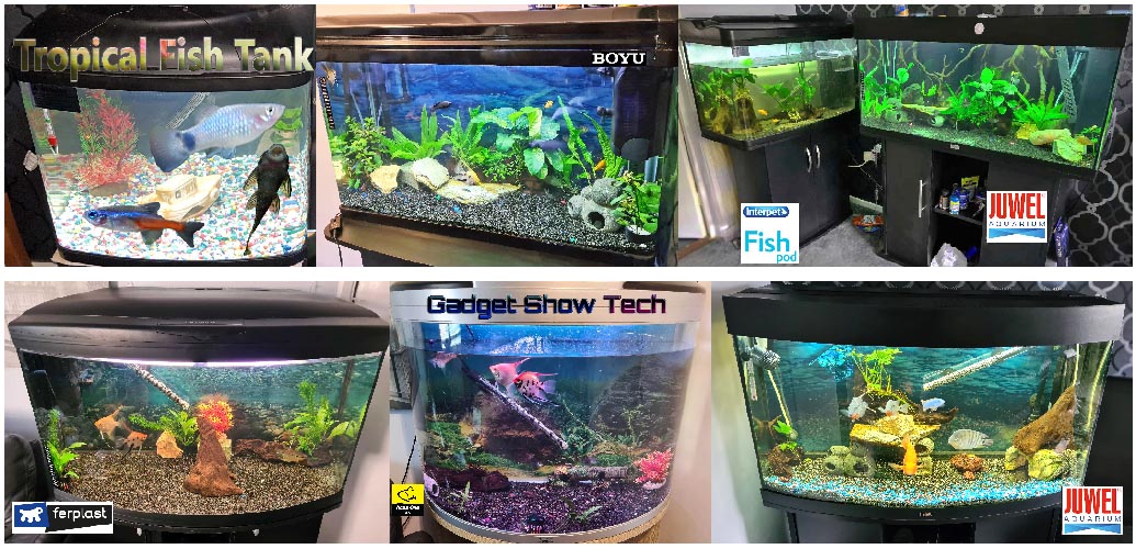 Starting My First Tropical Fish Tank Aquarium | Gadget Tech Reviews Now ...